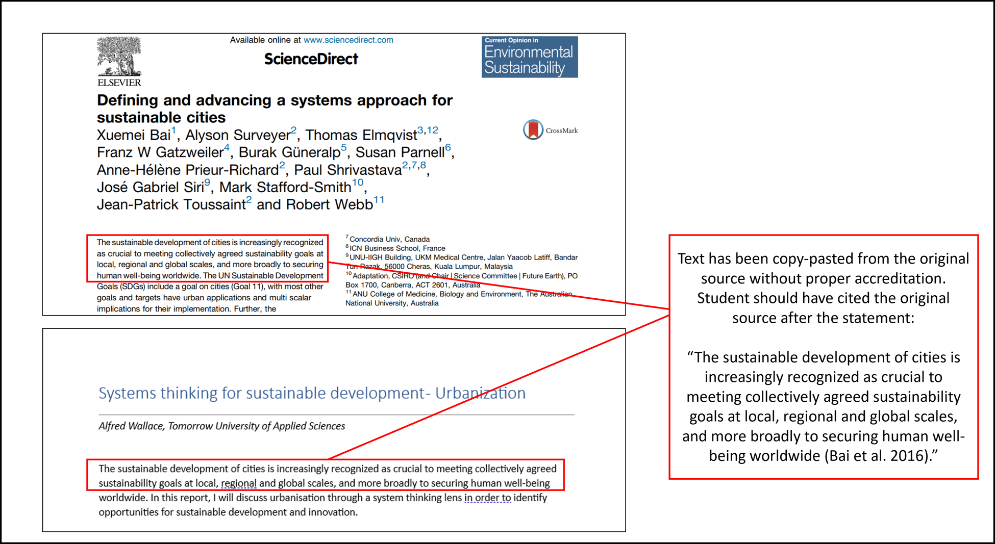 What are the plagiarism guidelines at Tomorrow University?